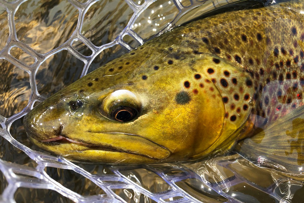 McLean Nets – Trout Creek Outfitters