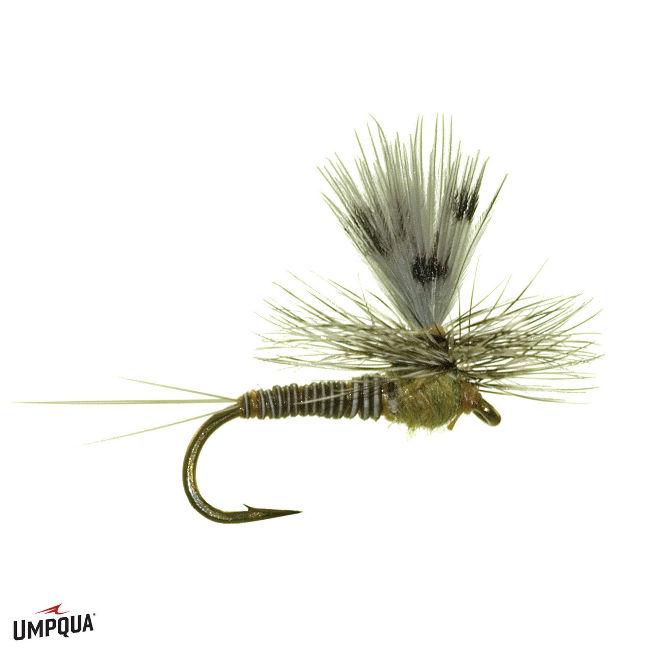 Dry Flies – Trout Creek Outfitters