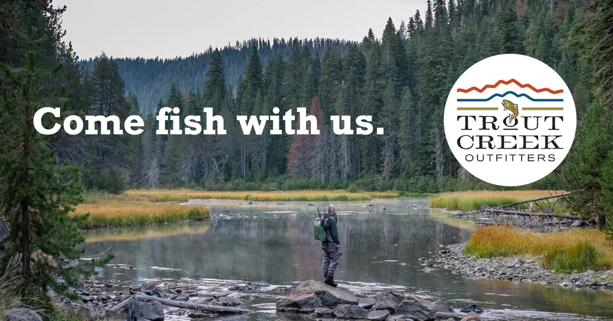 TCO's Popcorn Beetle – Trout Creek Outfitters